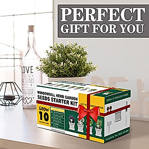 Herb Garden Windowsill Starter Kit - 10 Herb Indoor Kitchen Growing Herb Complete Set Including Everything for Beginner - DIY Garden Gifts for Kid Adult