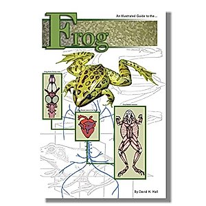 Anatomy Lab Soft Cover Frog Dissection Guide Book