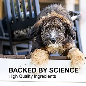 Nutramax Denosyl Liver and Brain Health Supplement for Large Dogs, With S-Adenosylmethionine (SAMe), 30 Tablets