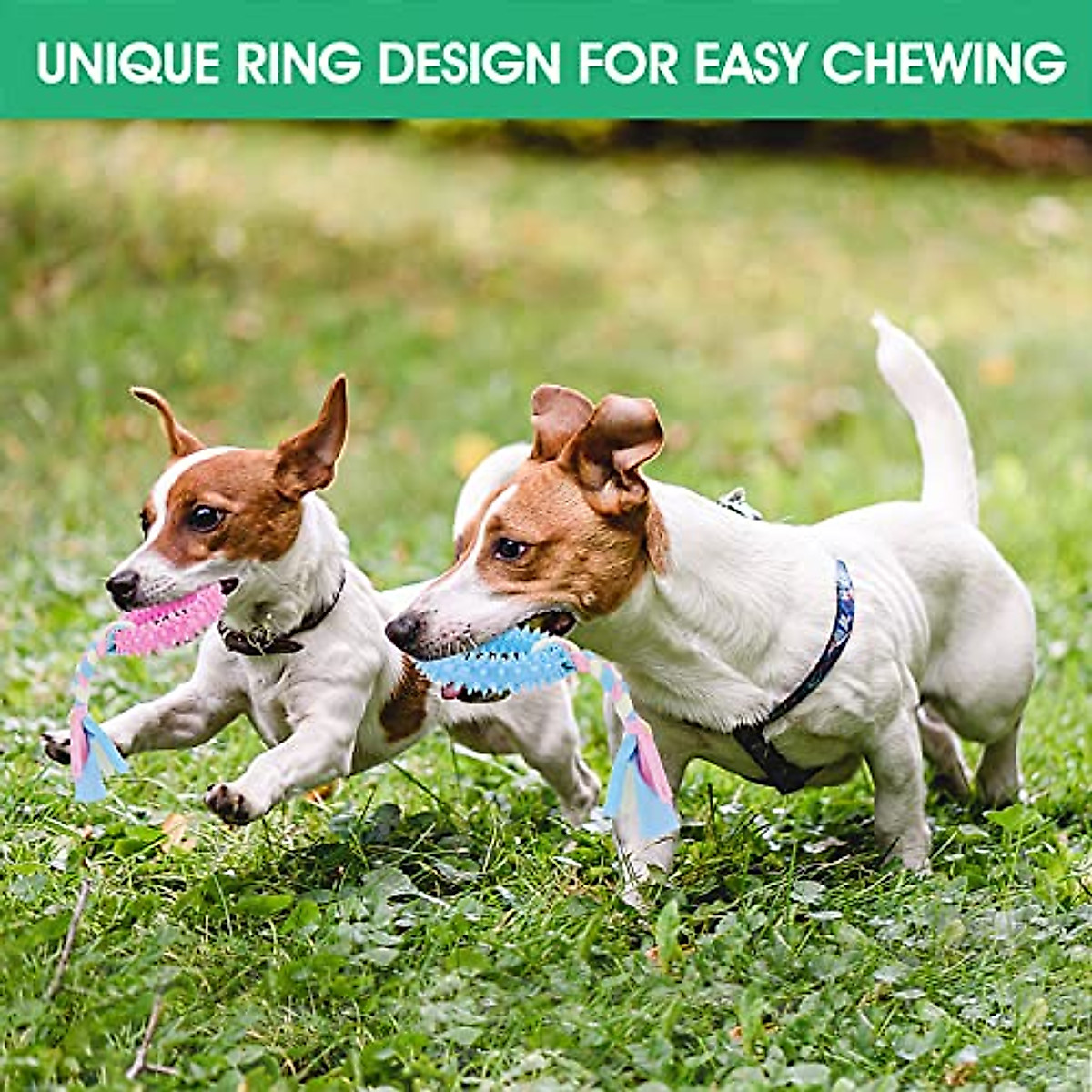 cobee Puppy Teething Chew Toys with Cotton Ropes, 3 Packs 360° Deep Clean Small Dog Chew Toy Rings Interactive Dog Toys for Small Medium Dogs, Oral Teeth Soothe Itching for Dog Teeth Health