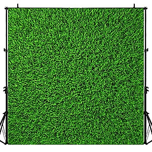 Nature Green Grass Backdrops for Photography 6x6FT Spring Realistic Grass Lawn Backgrounds for Baby Shower Birthday Party Photoshoot LUCKBTY LUZZ440