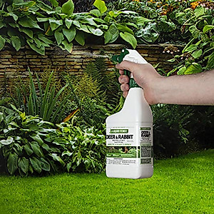 Liquid Fence Deer and Rabbit Repellent, Keep Deer and Rabbits Out of Garden Patio and Backyard, Use on Gardens Shrubs and Trees, Harmless to Plants and Animals When Used & Stored as Directed, 32 fl Ounce