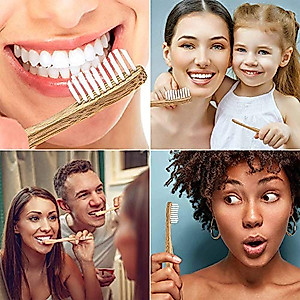 Bamboo Toothbrushes Medium Bristles 4-Pack – Biodegradable, Sustainable, Compostable, Natural, Eco Friendly Wood Toothbrush Set – BlauKe®