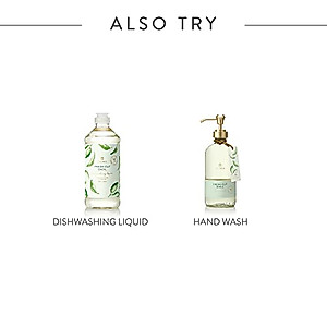 Fresh-Cut Basil Poured Candle