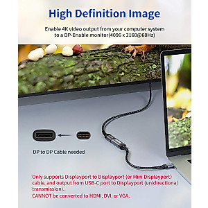 JSAUX USB C to DisplayPort Adapter 4K@60Hz, Type C to Display Port Cable Adapter Compatible with iPhone 15 Pro Max, MacBook Pro 2019 2018, Surface Book, Dell XPS, Samsung Galaxy S24 S23 Note 20-Grey