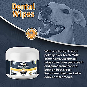 Jungle Pet Dog Dental Wipes for Dogs and Cats - Reduce Plaque, Tartar & Bad Breath - Cat & Dog Dental Wipes for Teeth Wipes - Peppermint Scent for Fresh Breath - 50 ct