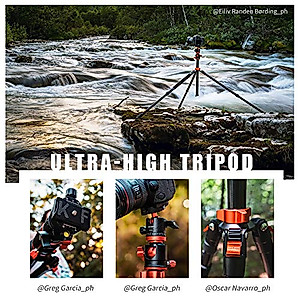 K&F Concept 94 Inch Camera Tripods 4 Section Ultra High Aluminum Professional Detachable Monopod Tripod with 360 Degree Ball Head Quick Release Plate for DSLR SLR Cameras T254A8+BH-28L (SA254T1)