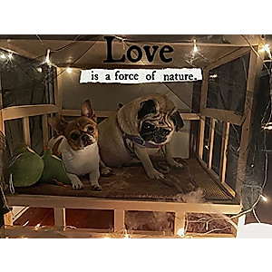 HYDT Wooden Double- Layer Elevated Pet Bed Cot for Bedside Table, All Seasons Dog Cot with Mattress, Easy to Assemble (Size : 120x60x70cm/47.2x23.6x27.6in)