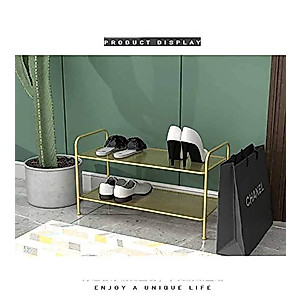TAZSJG 2/3 Tiers Shoe Rack, Small Shoe Rack Organizer, Space Saving Shoe Shelf, Iron Shoe Rack (Color : A, Size : 2layers)
