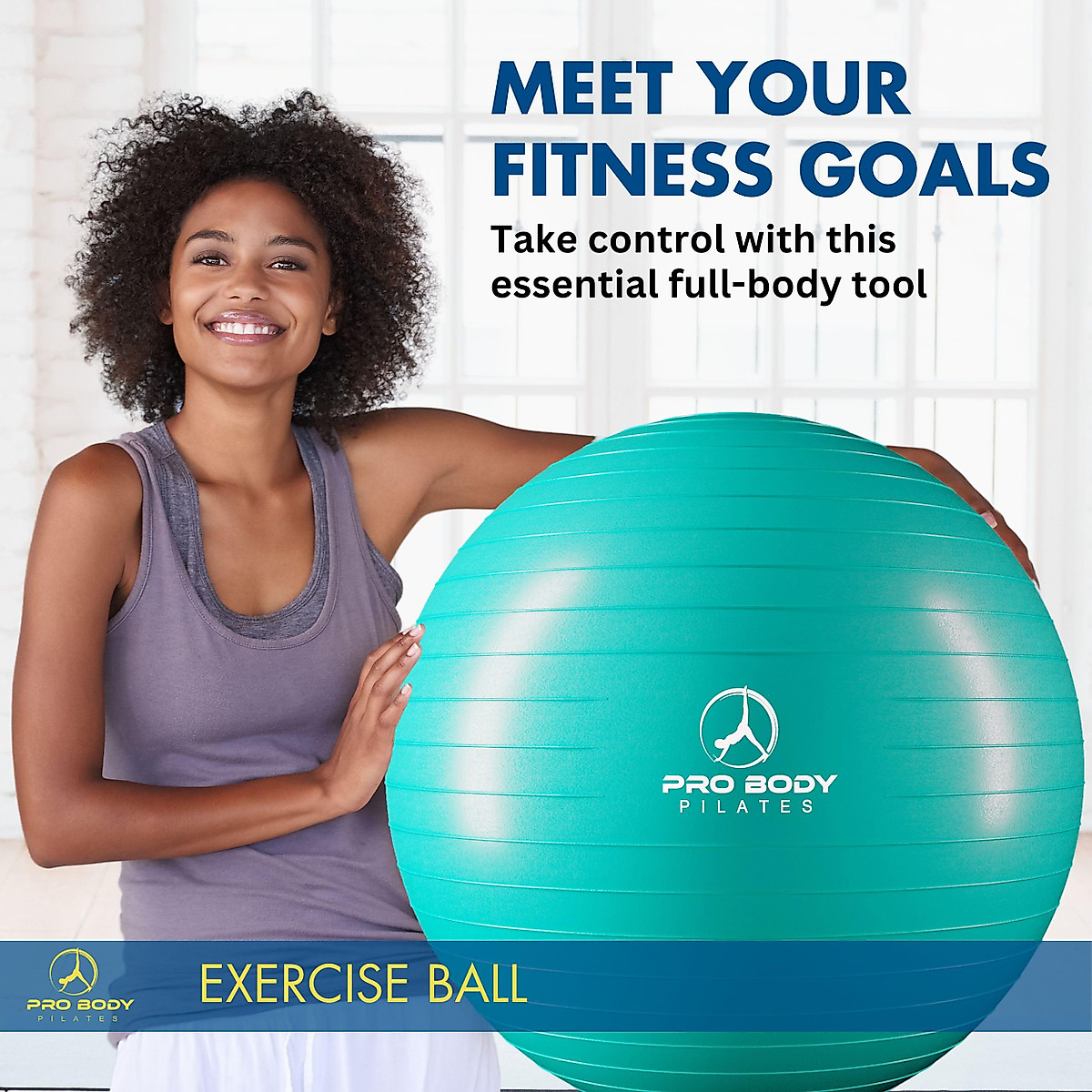 ProBody Pilates Ball Exercise Ball, Yoga Ball Chair, Multiple Sizes Stability Ball Chair, Gym Grade Birthing Ball for Pregnancy, Fitness, Balance, Workout and Physical Therapy Ball (Aqua, 65 cm)