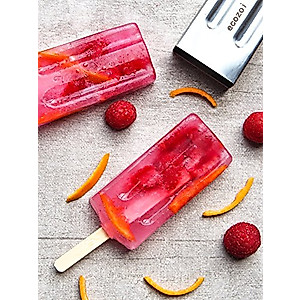 Ecozoi Stainless Steel Popsicle Molds and Rack - 6 Square Ice Pop Makers + 30 Reusable Bamboo Sticks + 12 Silicone Seals + 1 Cleaning Brush +1 Rack