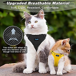 Supet Cat Harness and Leash Set for Small to Large Cats, Adjustable Cat Leash and Harness Set Escape Proof with Reflective Trim Universal Kitten Harness for Cats Puppies Outdoor Walking