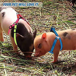Frienda 2 Pieces Adjustable Mini Pig Harness Leash Mini Pig Walking Harness and Leash for Hog Piggy Ferret Rabbit Dog Cat and Other Small Animals Walking Training Jogging