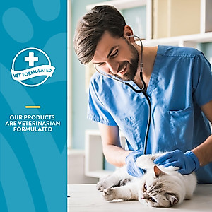 NaturVet Quiet Moments Calming Aid Cat Supplement Plus Melatonin – Helps Reduce Stress in Cats – for Pet Storm Anxiety, Motion Sickness, Grooming, Separation, Travel – 50 Ct. Soft Chews