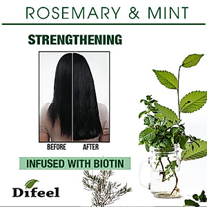 Difeel Hot Oil Hair Treatment with Natural Rosemary, Mint & Biotin 8 oz - Nourishing Treatment and Growth for Dry and Damaged Hair