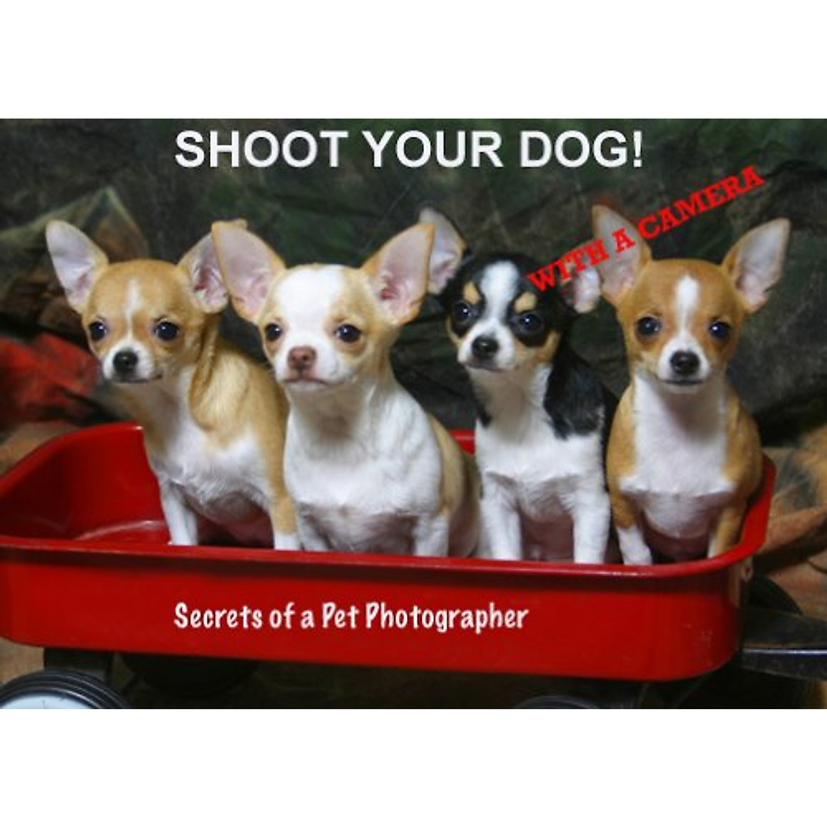 Shoot Your Dog with a Digital Camera Secrets of a Pet Photographer