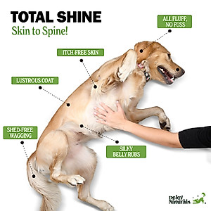 Deley Naturals Dog Allergy Chews - Omega 3 Fish Oil for Dogs with DHA & EPA, Biotin, Collagen, Vitamins C, E, & Zinc, Supports Shiny Coat - Dog Itching Relief Salmon Flavor - Dry Skin Relief for Dogs