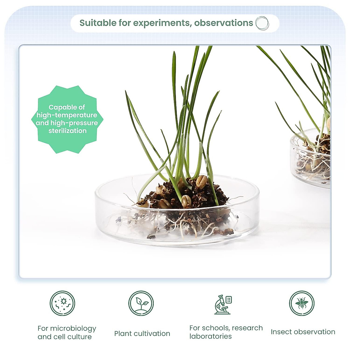 Huanyu 60mm Glass Petri Dish with Lids High Borosilicate Glass Petri Dishes Bacterial Culture Dishes for Lab Science Experiment (5pcs: 60mm)