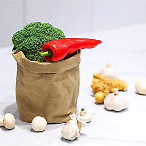 AKOAK 1 Pack Washable Kraft Paper Bag, Multifunctional Home Wear-resistant Storage Bag, Shopping Bag, Plant Flower Pot, Reusable Eco-friendly Food Bag (khaki)