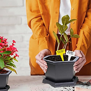 MONDWARE Three Training Plastic Hexagonal Bonsai Pot and Trays + Plastic Shovel and 12 T-Shaped Markers