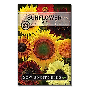 Sow Right Seeds - Sunflower Garden Seed Collection for Planting Outdoors - Large Individual Packets of Mammoth Sunflower and Sunflower Mix. Non-GMO Heirloom Seed to Grow - Wonderful Gardening Gift