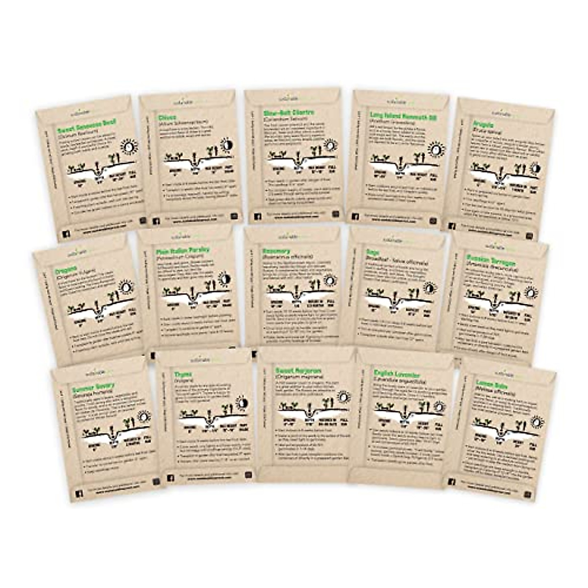 Culinary Herb Seeds Variety 15 Pack—Includes Basil, Cilantro, Parsley,Chives, Thyme, Oregano, Dill, Rosemary,Sage,Arugula,Tarragon,Lavender,Lemon Balm,Marjoram and Rosemary—Non GMO Seeds for Planting