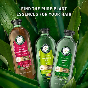 Herbal Essences Avocado & Argan Oil Sulfate-Free Conditioner, 13.5 fl oz