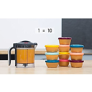 Duo Meal Station Food Maker 6 in 1 Food Processor with Steam Cooker, Multi-Speed Blender, Baby Purees, Warmer, Defroster, 1 Count (Pack of 1) (Nutritionist Approved)