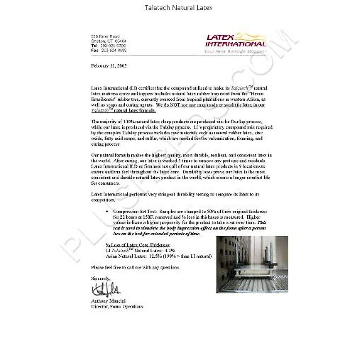 Eco Terra Natural Latex 3" Medium-Firm Mattress Topper | Luxurious Comfort & Support| Organic Certified Latex| Deep Rejuvenating Sleep| Support Shoulders, HIPS, Back & Knees| Twin