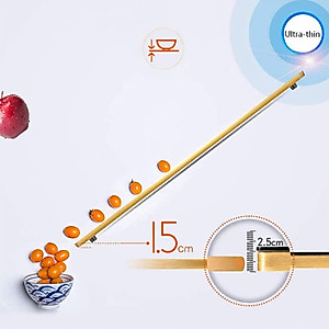 Food and Plate Warming Tray, Electric Dishes Warming Hot Plate Food Warmer with 2 Temperature Control (95°C/120°C) Food Warmer Serving Tray for Party Chafing Dish