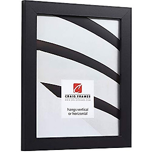 Craig Frames Essentials, Modern 1 Inch Picture Frame, 10 x 13 Inch, Black, Set of 4