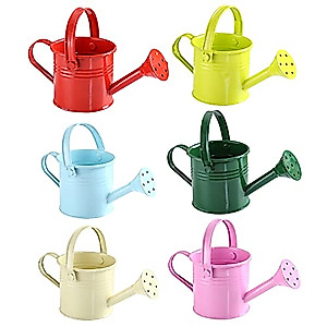 SMLJFO Watering Can for Indoor Outdoor Plants, Modern Style Watering Pot with Handle Sprinkler Head Iron House Garden Flower Long Spout Shower Pink 5.1in