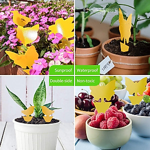 LFSYS 64 Pcs Sticky Traps for gnat, Yellow Stick Traps for Plants, Fungas gnat Traps Double Side with Shovel, Indoor Safe for Gnat, Fruit Fly, White Fly, Aphid, Leaf Miner