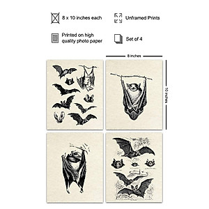 Bats Wall Decor - Bat Decorations - Bat Decor for Home - Creepy Gothic Wall Art - Goth Wall Decor - Pagan Gifts - Gothic Decor