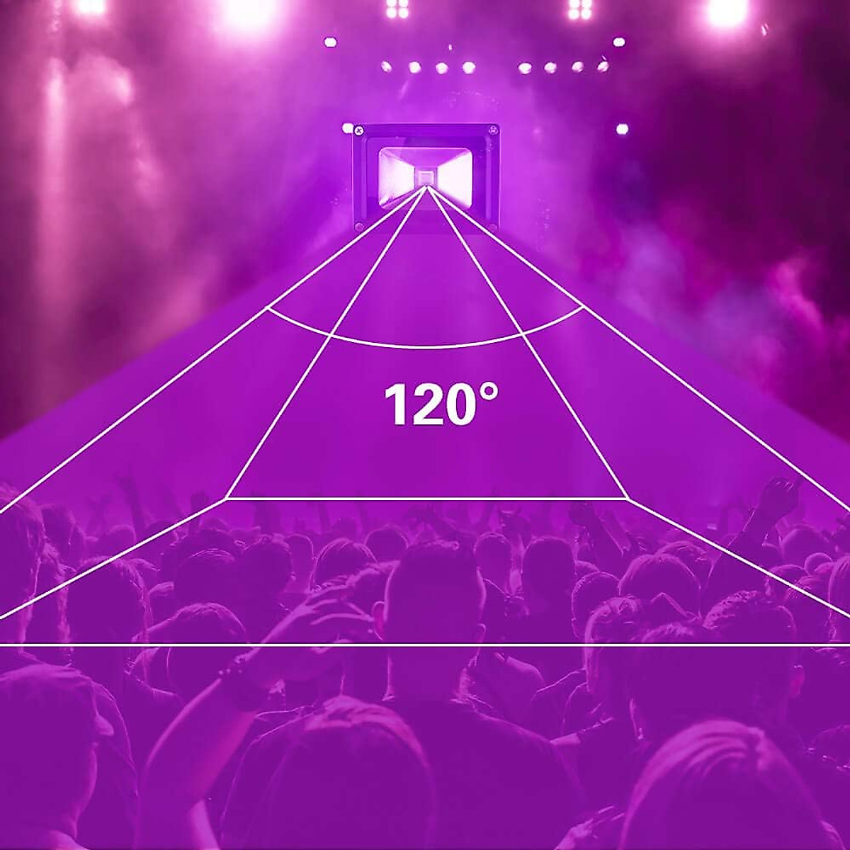 Degruand 20W 2 Pcs LED Halloween Black Light,Blacklight Flood Light with Plug,IP65 Waterproof,Light Up 30x30FT Area,Wire1.5M/4.92FT, for Glow Party Bedroom Neon Glow