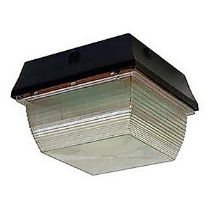 Lumenosity LED 35 Watt Canopy Light, Equal to 175 MH