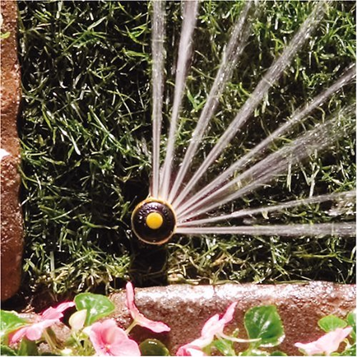 Rain Bird 22SAQ Mini Rotary Pop-Up Spray, 90° Quarter Circle Pattern, 17' - 24' Spray Distance, 4" Pop-up Height