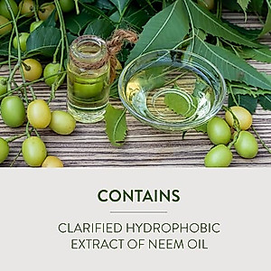 Garden Safe Brand Fungicide Concentrate, 20 Ounces, With Neem Oil Extract To Control Black Spot, Rust, Powdery Mildew, Aphids, Spider Mites, Whiteflies ,Houseplants, Fruits And Vegetables