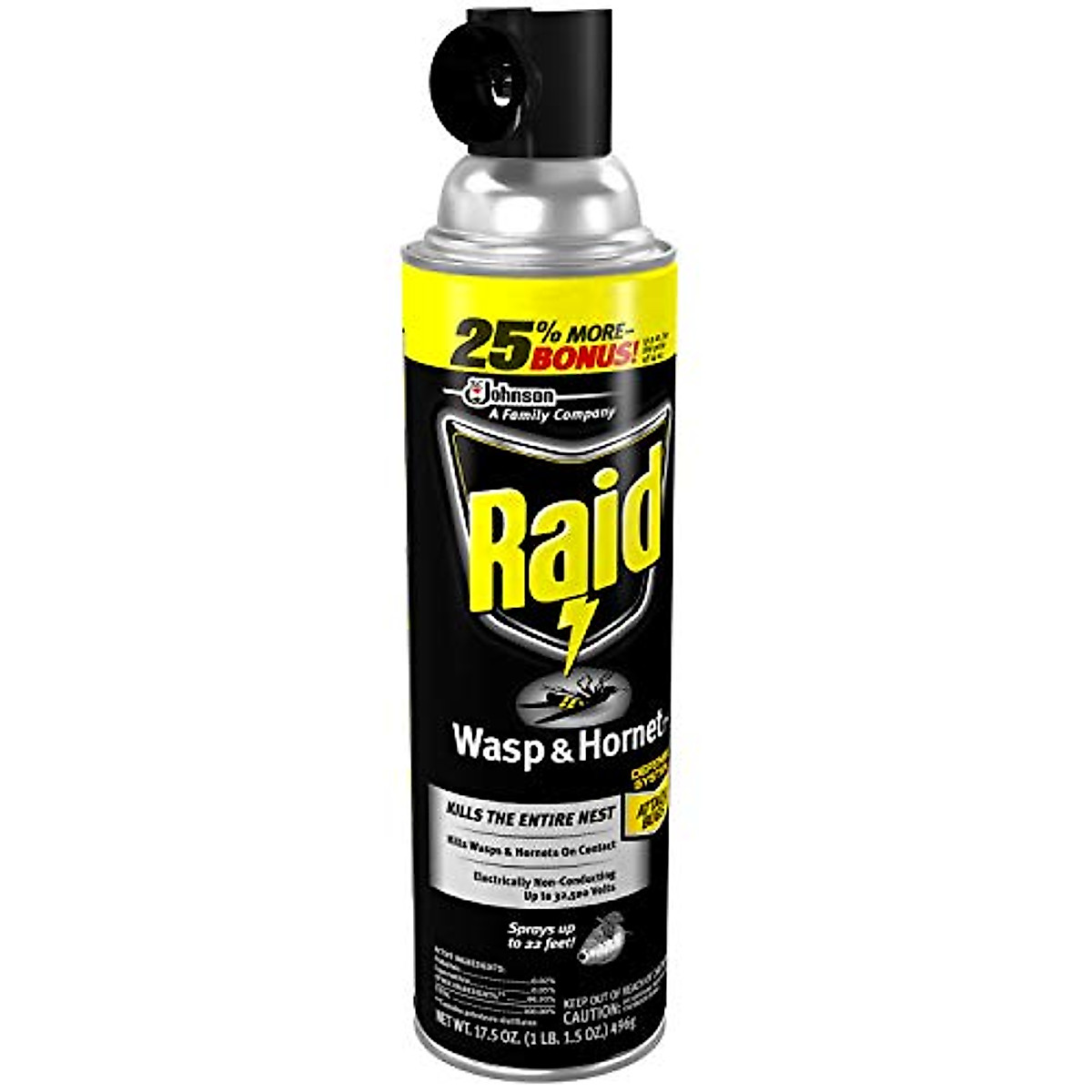Raid Wasp and Hornet Spray- 17.5 ounces - 3 Pack
