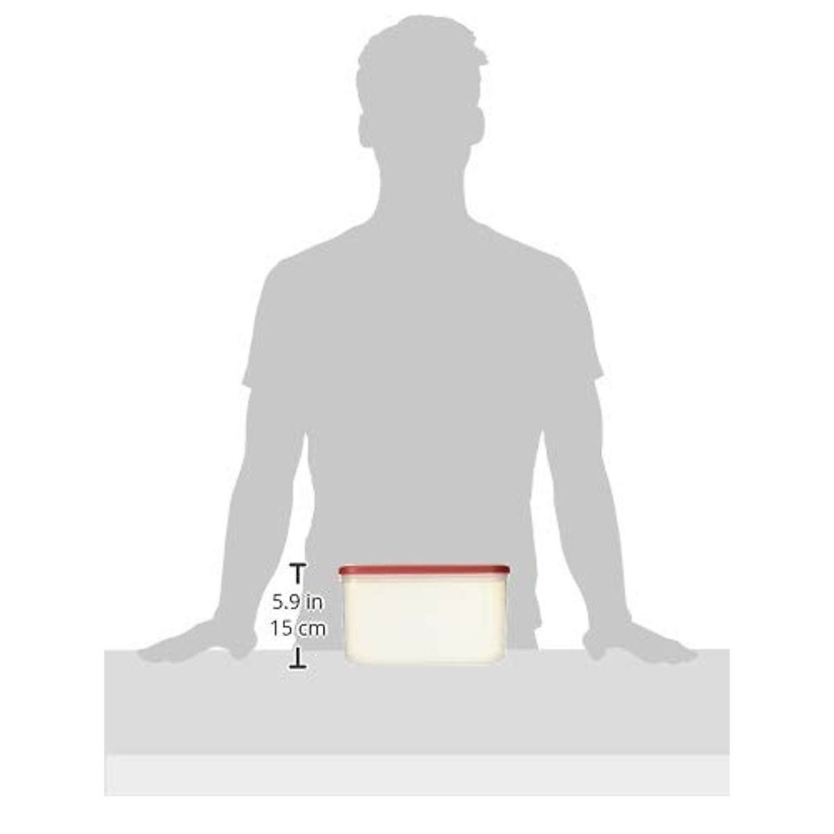 Rubbermaid 071691688044 Dry Food Container (Set of 2), 10-Cup, 2 Pack Everyday, Clear, 2 Count