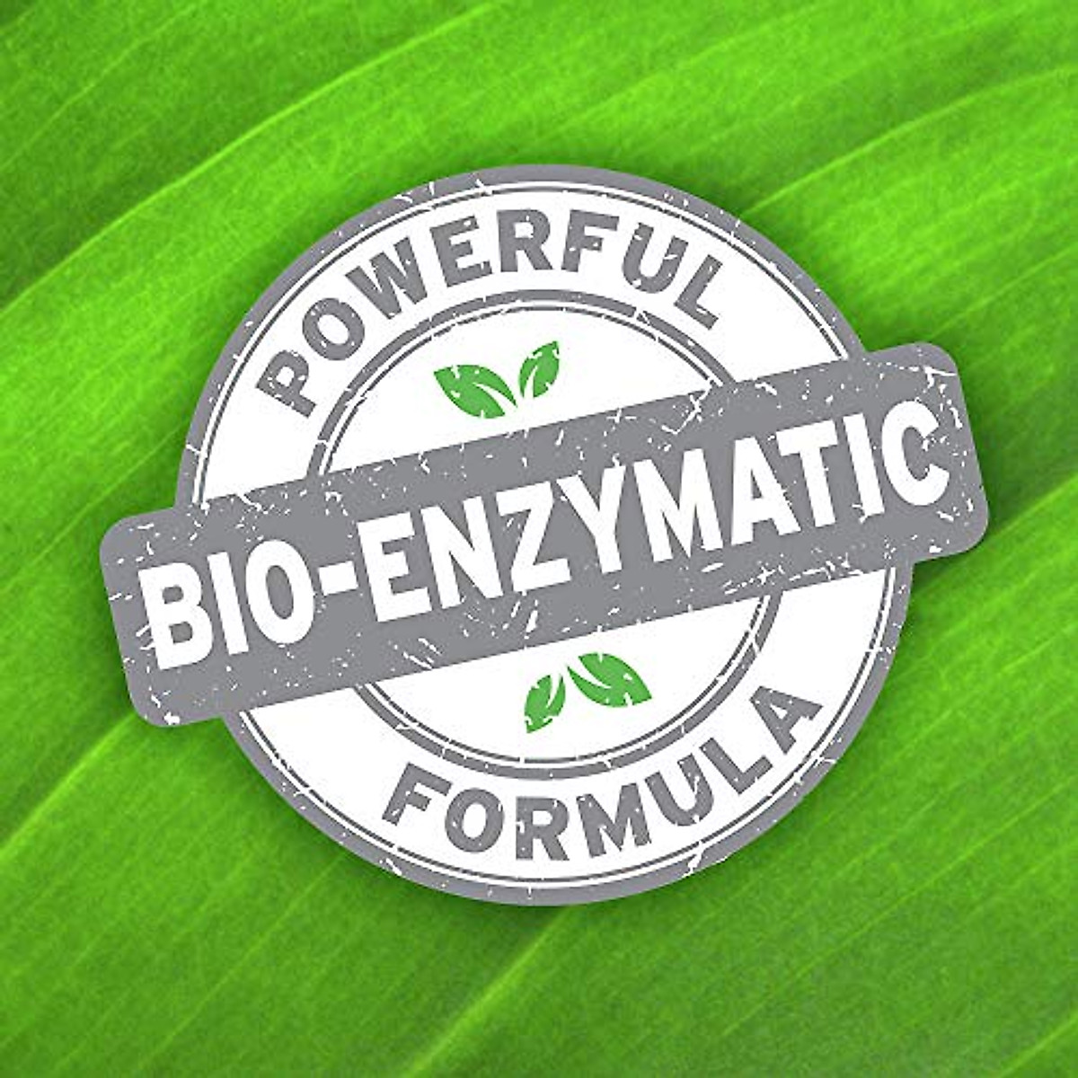 Bioda Septic System Saver, Professional Strength, 6-Pack, 6-Month Supply