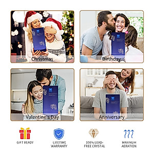 Wine Decanter Gift Set | Colorful Wine Carafe | Hand Blown Lead-Free Crystal Glass Iridescent Red Wine Aerator Container With Accessories (Style2)