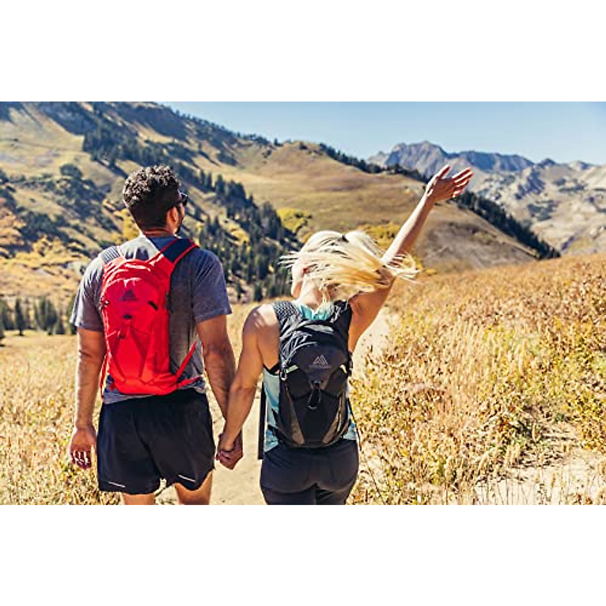 Gregory Mountain Products Tempo 3 H2O Hiking Backpack