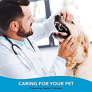 BOSHEL 3 Pc Dog Toothbrush - 2 Dog Tooth Brush + Dog Finger Toothbrush, Dual Headed Toothbrush For Dogs, Dog & Cat Toothbrush For Small & Large Breeds, Dog Tooth Brushing Kit, Puppy Toothbrush For Pet