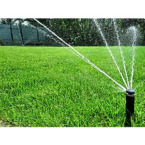 Pennington Tri-Fescue 50 LB Bag of Seed. Will Grow in Both Full Sun and Partial Shade Areas. Each Bag Covers 10,000 Square Feet When Overseeding Your Lawn + Home and Country USA Tri Fescue Tech Sheet