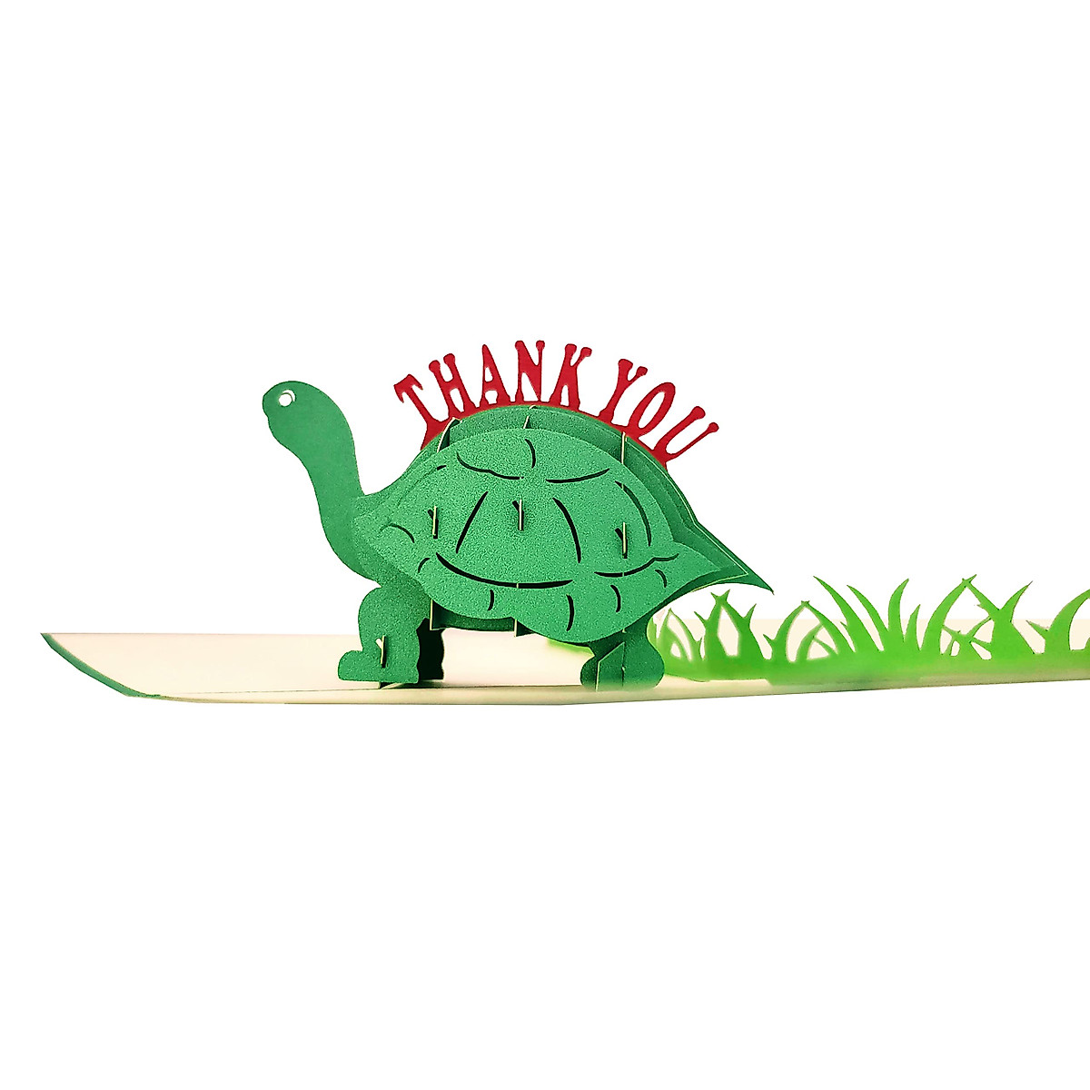 iGifts And Cards Cute Turtle Thank You 3D Pop Up Greeting Card - Funny Animals, Turquoise, Blank, Cool, Fun, Half-Fold, Thank You, Gratitude, Appreciation, Friendship, Best Friend, Belated, Kids, Grad