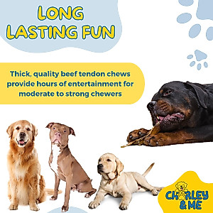 CHARLEY & ME Beef Tendons for Dogs, 100% Natural Beef Puppy Treats, Long-Lasting Dog Chew Toy for Aggressive Chewers - Nutritious Joint Support for Dogs - 6 Inches (Pack of 10)