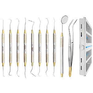 ARTMAN INSTRUMENTS Dental Hygienist Tool Kit (10 PCs) – Includes Mirror, Probe, Tweezer, Scalers, Pocket Probe, Curettes – Prophylaxis Teeth Cleaning Set, Autoclavable, with Sterilization Cassette