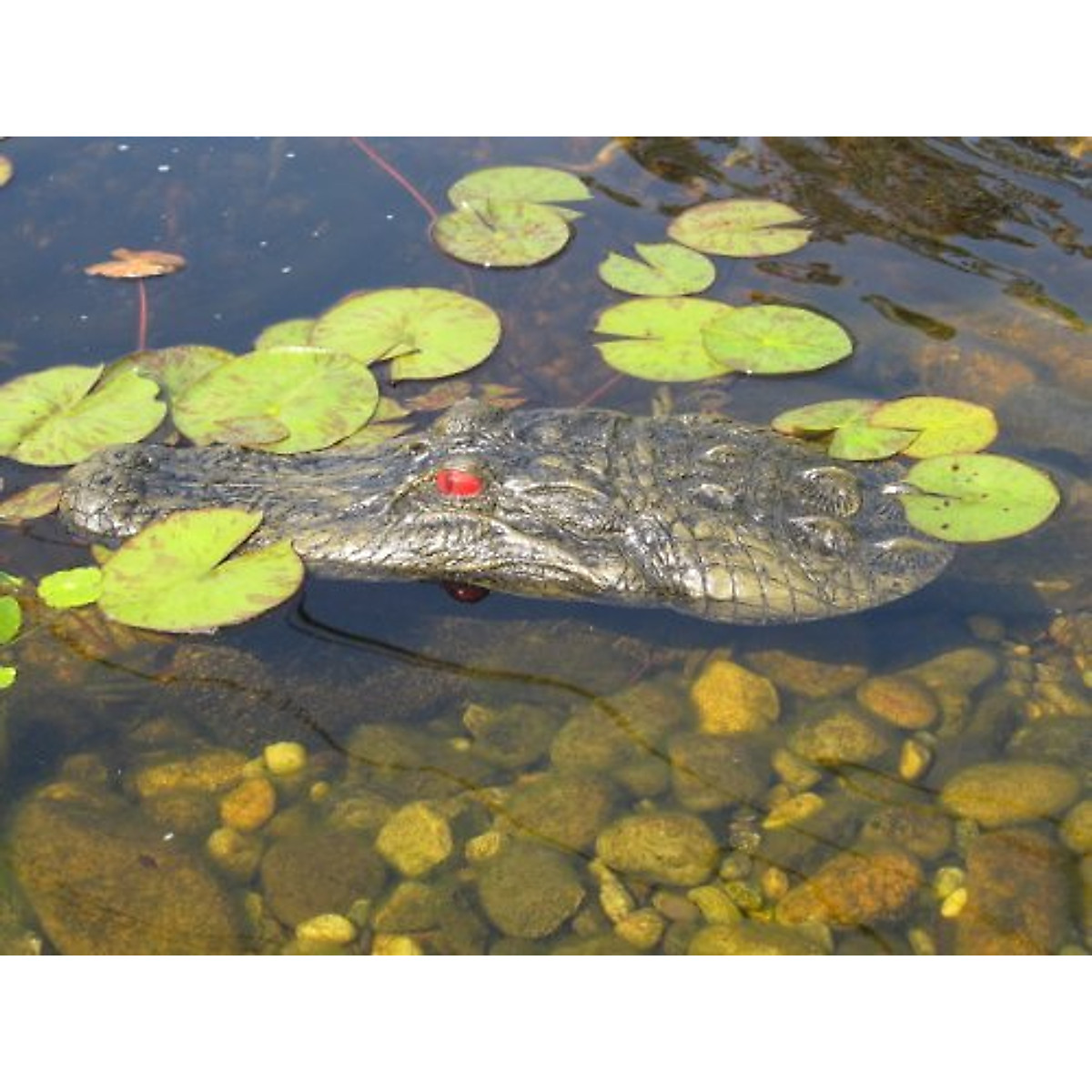 TJB-INC 22" Alligator Head Decoy & Pond Float with Reflective Eyes for Canada Geese & Blue Heron Control