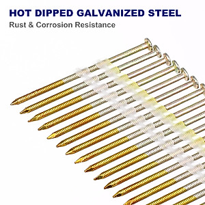 HW HAMWOO Framing Nails,21°Round Head Nail Pack,1000-Pack (2"- 250Pcs,2-1/2"- 250Pcs,3"- 250Pcs, 3-1/2"- 250Pcs),Galvanized Nail,Ring Shank